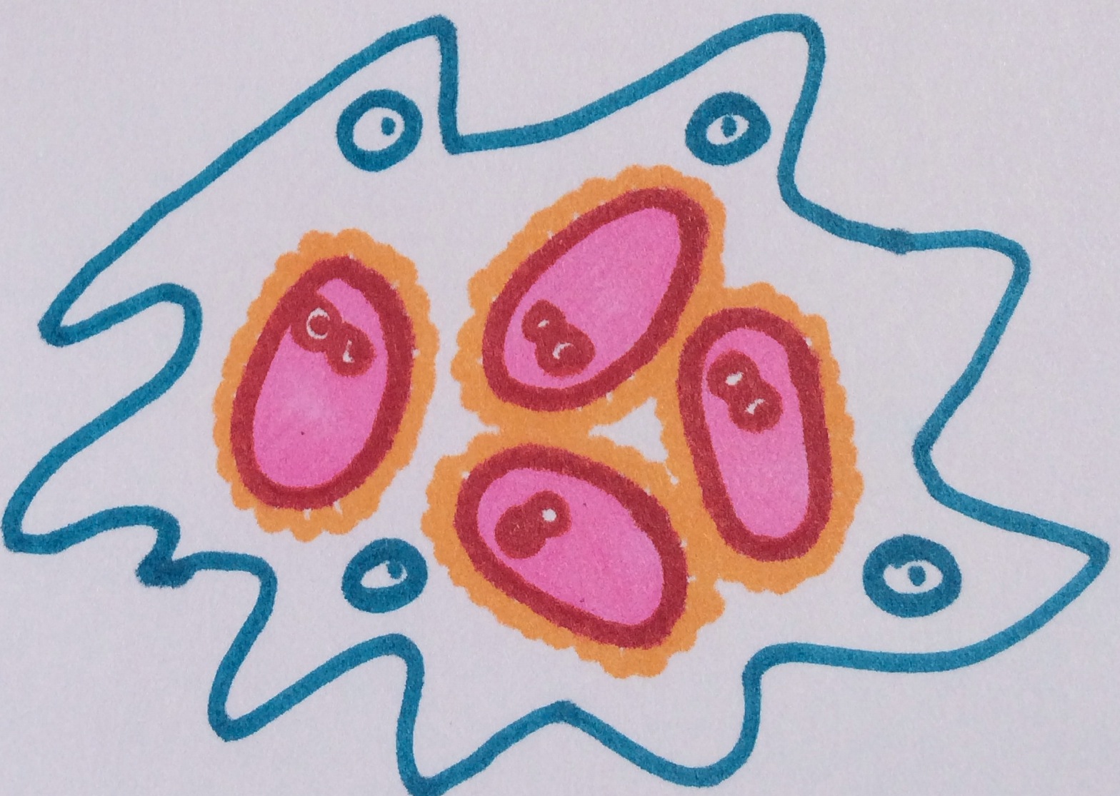 Haemophilus influenzae type b (Hib) vaccine – THE VACCINE MOM